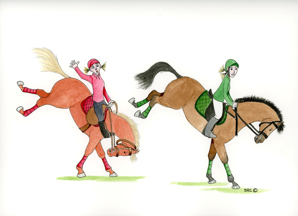 What the Buck? How to handle bucking - with the help of a Click & Conn ...