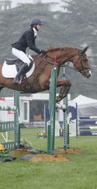 Salute Equestrian Academy - Salute Equestrian Ltd