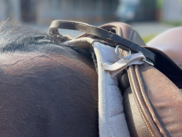 Universal Balance Strap - Salute Equestrian Ltd